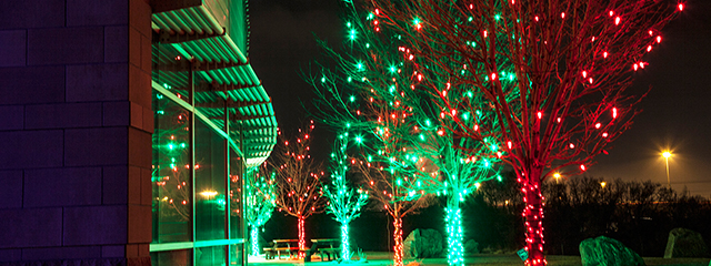 Outdoor Christmas Lights | Christmas Light Installation | Christmas ...